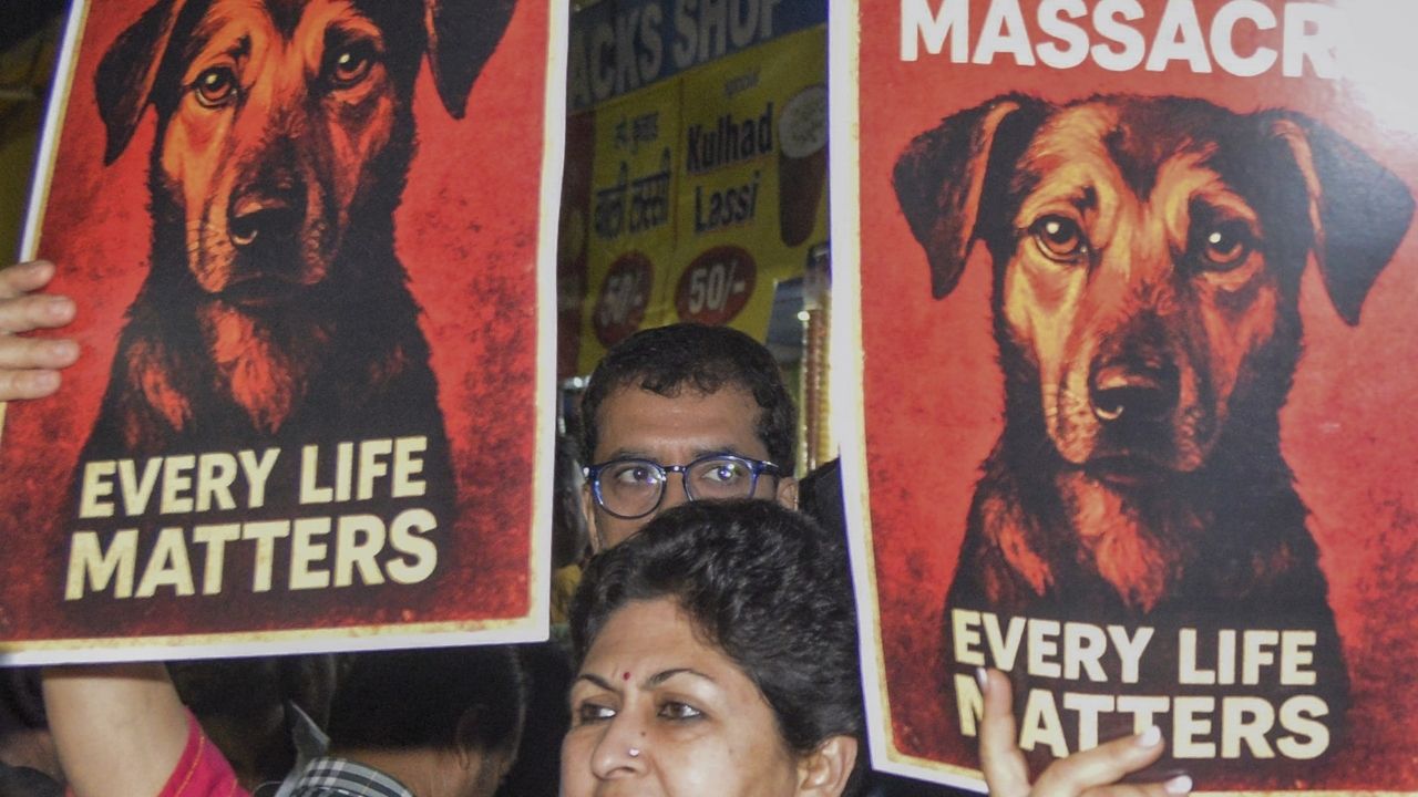 तेलंगाना के लोगों ने 3 दिन में 120 आवारा कुत्तों की जान क्यों ले ली?